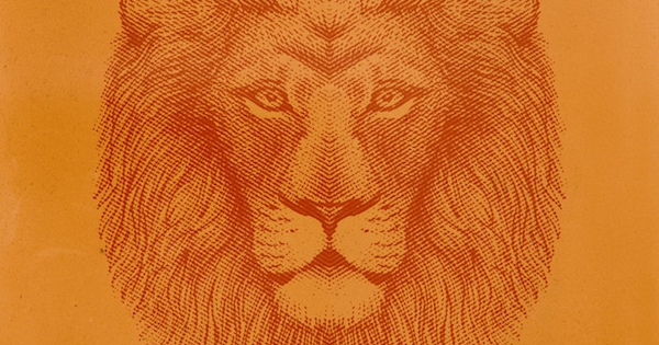 Mary Riddle - Go Lions