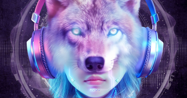 XG / XDM Unidentified Waves