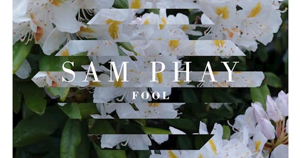 Sam Phay - Fool