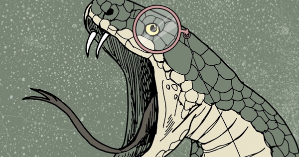 Mica Emory - Snakes and Ladders