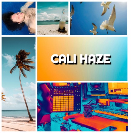 Dakota Cook - Cali Haze
