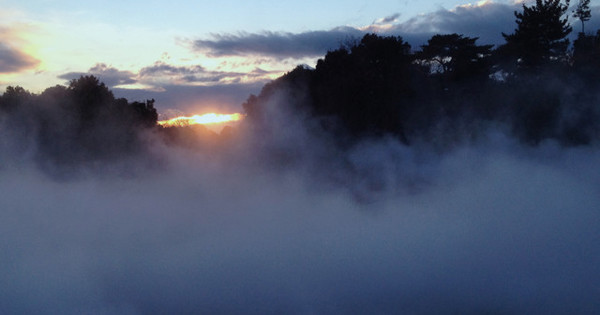 石川泰昭 - The Light in the Mist