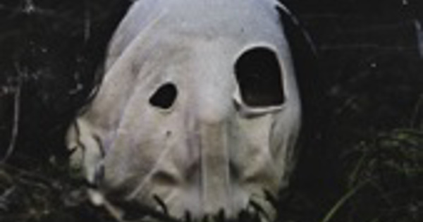 The Faceless - In Becoming a Ghost