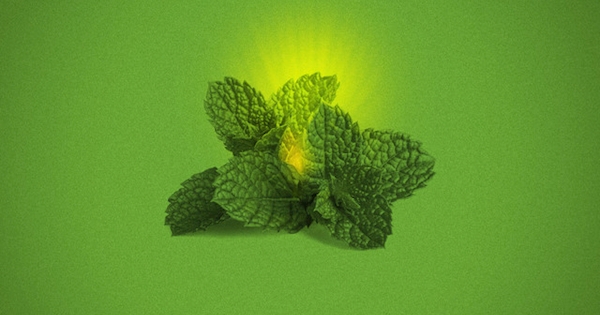 Sevan Shahmirian - Doze