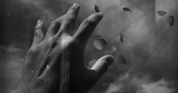 Franz Gordon - Windflower