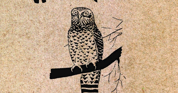 The Wilson Pickers - Land Of The Powerful Owl