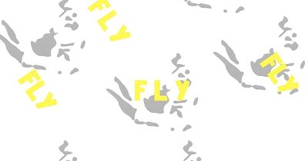 Fly (Sad Story)