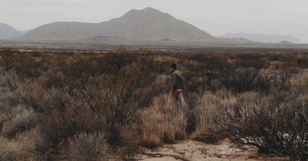 Austin Basham - Still Beating