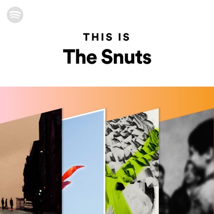 This Is The Snuts