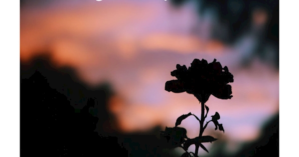 Finn Matthews - Catch Fire