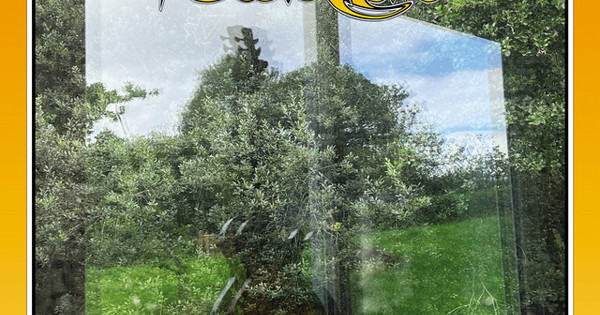 Steve Howe - Guitarscape