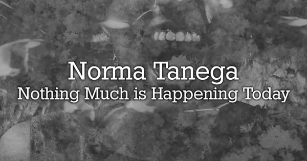 Norma Tanega - Nothing Much is Happening Today