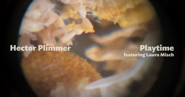 Hector Plimmer, Laura Misch - Playtime