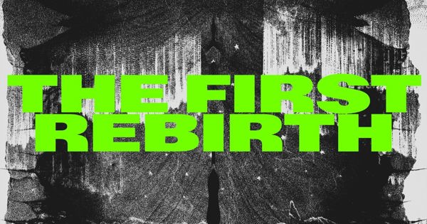 Denise Schneider - The First Rebirth