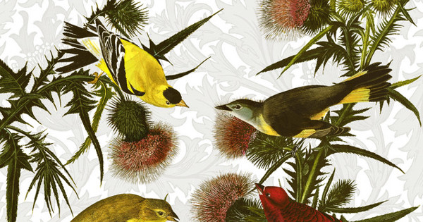 David Murray Quartet - Birdly Serenade