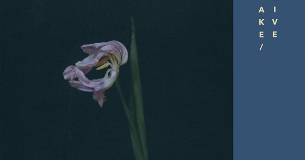 Keaton Henson - Awake/Alive