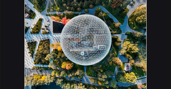 Miss Monique - Biosphère