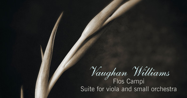 Ralph Vaughan Williams, Lawrence Power, BBC National Orchestra Of Wales ...