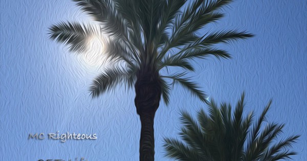 MC Righteous - 25 to Life