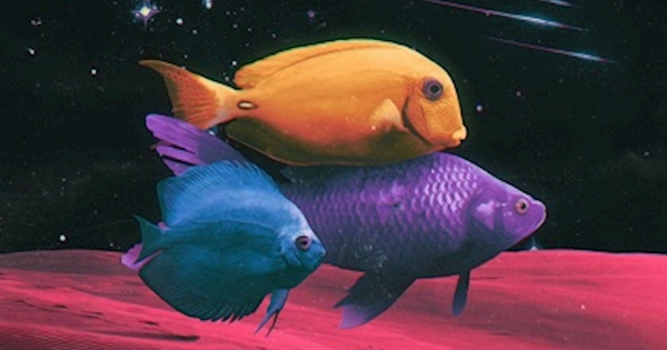 Fishes - Fishes in Space