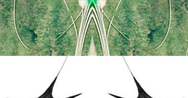 Sam Pine, Nicole McCabe - idolWILD!