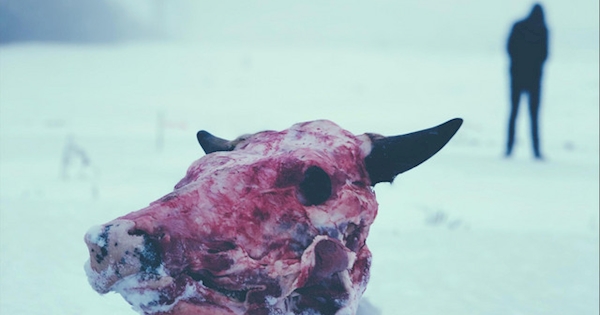 Empty World - Отвращение