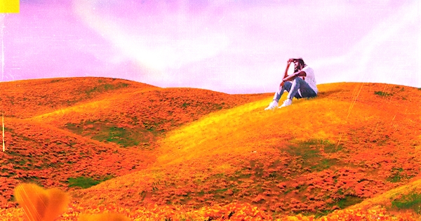 Rexx Life Raj - California Poppy