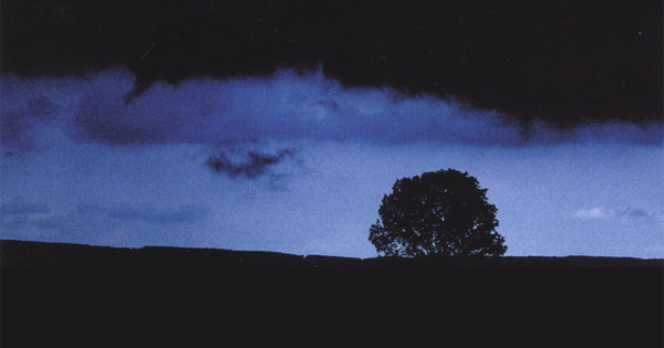 Ann Sweeten - Grey Sky And Bittersweet