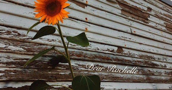 Kevmane - Dear Rochelle