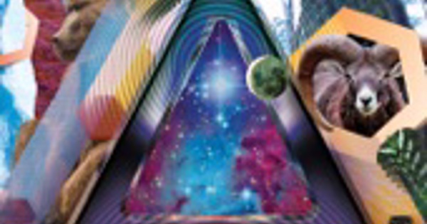 311 - Universal Pulse