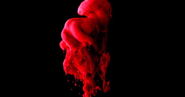 GRAZZE, Beacon Bloom - Reach Out