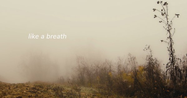 Ludovico Einaudi - "Like a Breath" (Live Footage and Documentary)