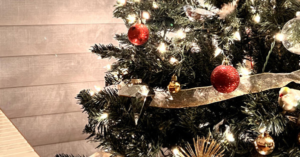 Alana Cruz - Underneath the Tree