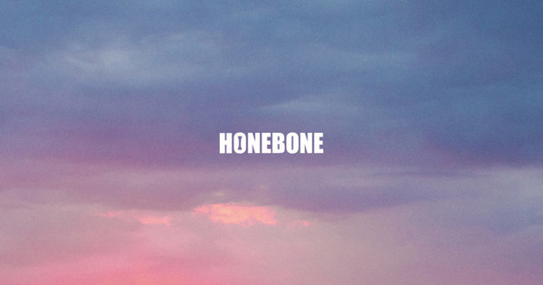 HONEBONE - ドーン