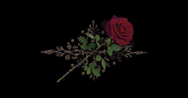 David Sinclair - Sweet Georgina