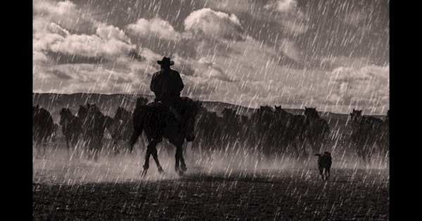 Christopher Malley - Bringing Rain