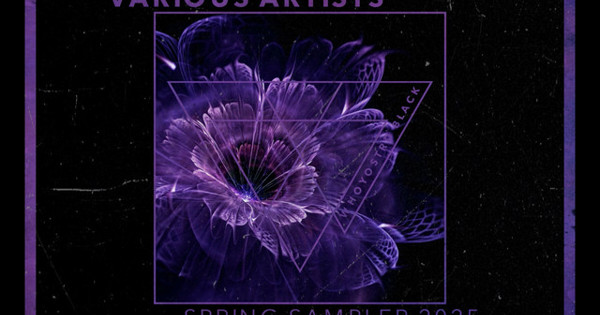 Various Artists - Spring Sampler 2025