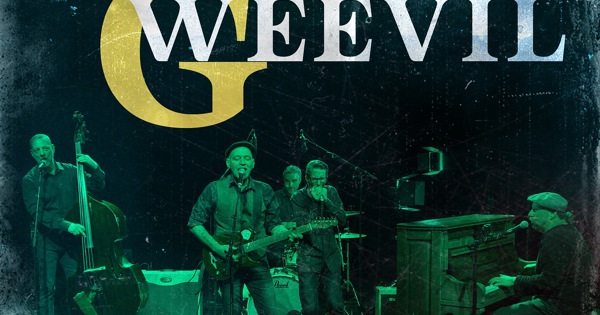 Little G Weevil - If I May...