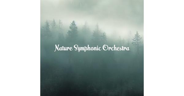 Nature Symphonic Orchestra | Calming Nature