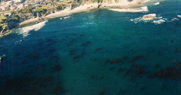 88rising, Rich Brian, NIKI, Jackson Wang, Warren Hue - California (feat ...