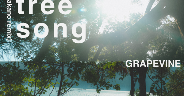 GRAPEVINE「Big tree song(Hiroshi Takano remix)」