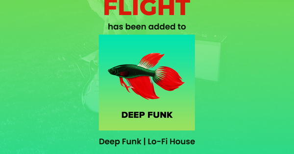 Deep Funk 🐠 Lo-Fi House