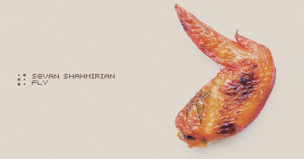 Sevan Shahmirian - Fly