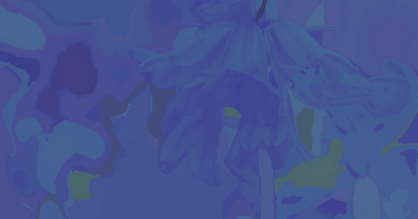 Hannah Pickard - Baby Blue