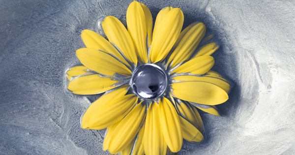 Caught in the Act, Hard Daisy - Love Is Everywhere (Hard Daisy Remix)