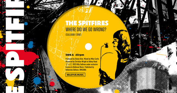 The Spitfires - Where Did We Go Wrong?
