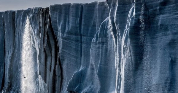 Pearl Jam - Gigaton (CD + LP)