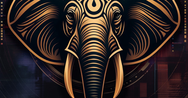 BEAT - Frame by Frame - Live in Los Angeles 2024