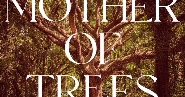 Dan Rodriguez - Mother of Trees