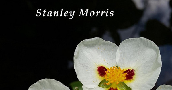 Stanley Morris - The Beginning